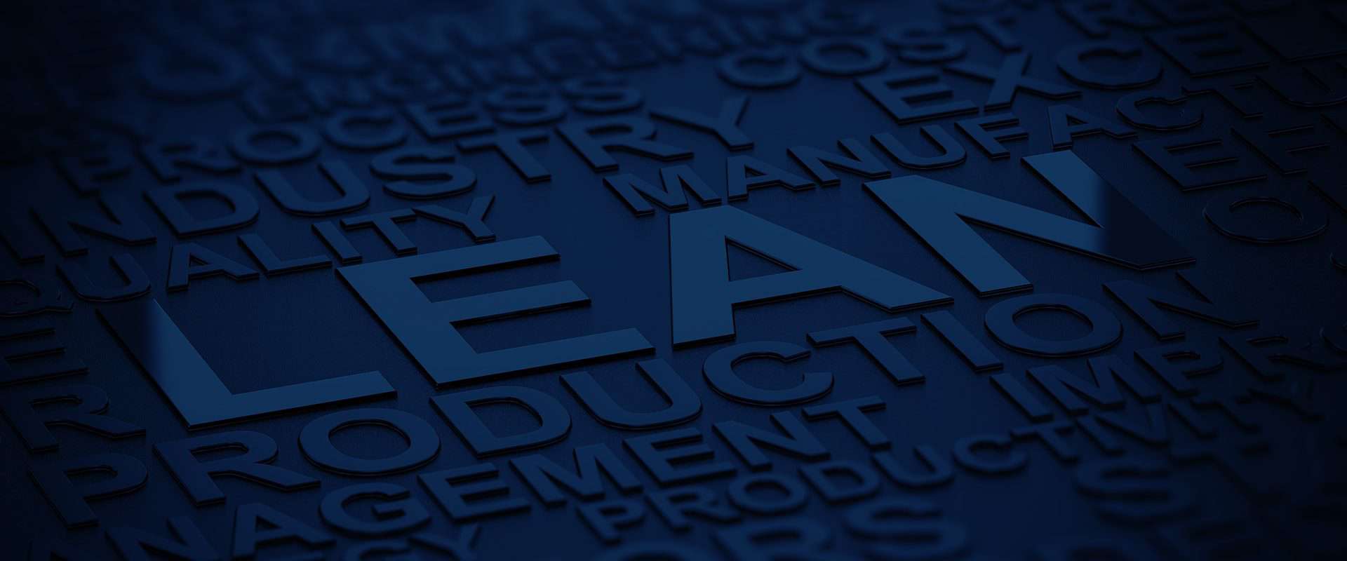 Lean Business System Model Consultant | Next Level Partners